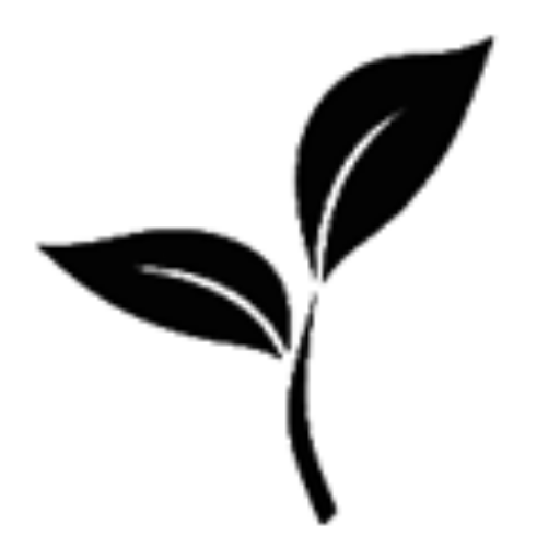 Ginger 10ml – Springfields Australia